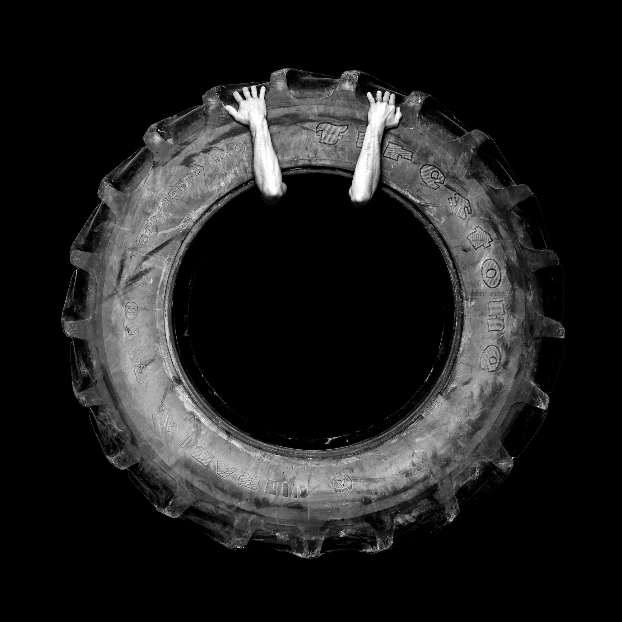 Hervé Piault - Série Pachyderme – Galerie GABA